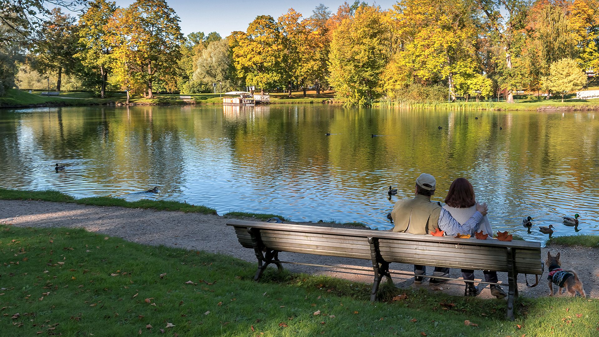 Folkestone Area Guide Wards