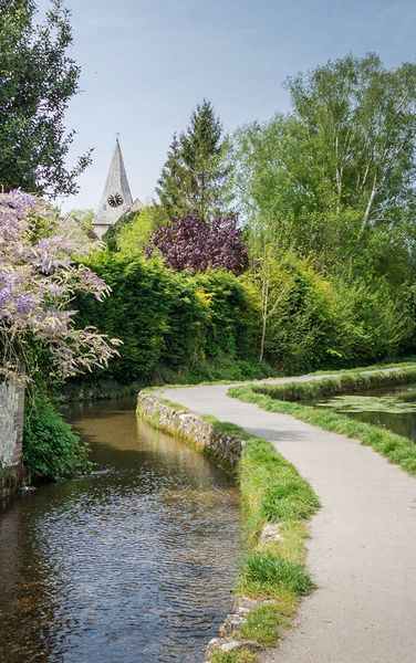 Loose Area Guide | Wards