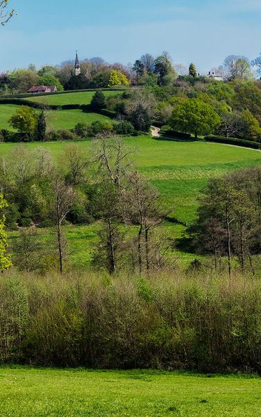 Paddock Wood Area Guide | Wards