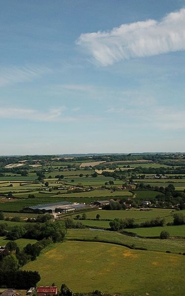 Staplehurst Area Guide | Wards