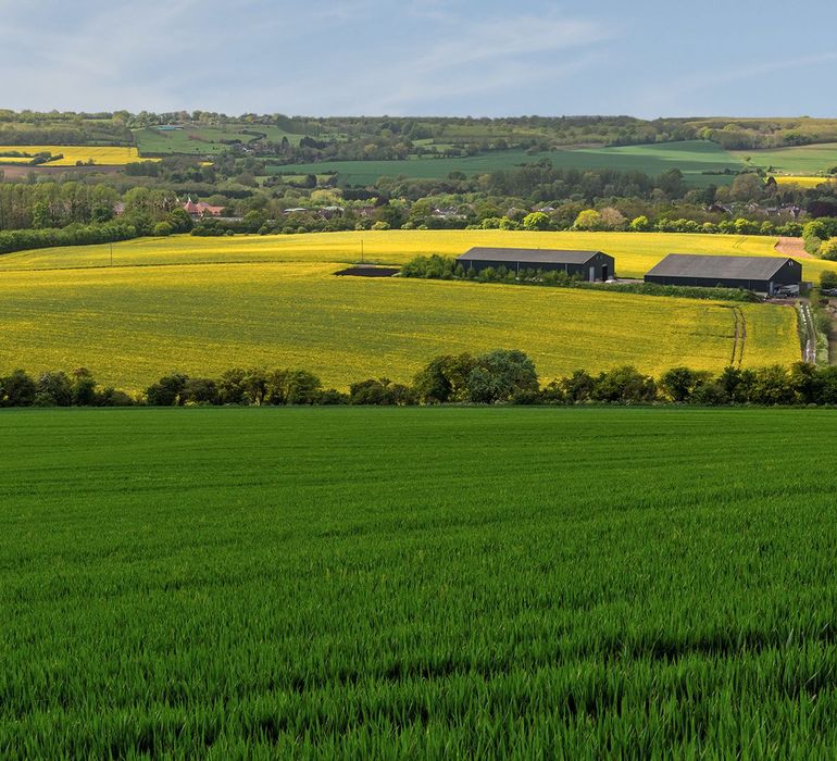 Living in Bearsted: Area Guide | Wards