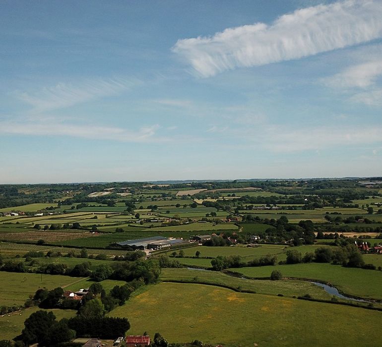 Staplehurst Area Guide | Wards